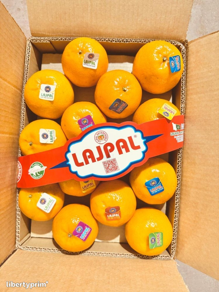 Mandarin Class 1 Pakistan Wholesaler - LAJPAL ENTERPRISES | Libertyprim