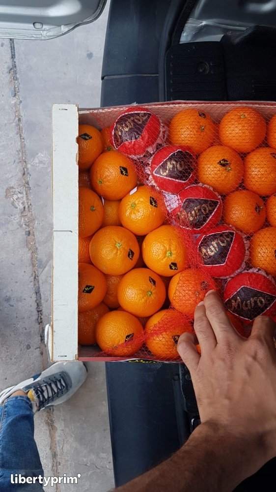 Mandarina Nadorcott Categoría 1 Marruecos Importación & Exportación ...
