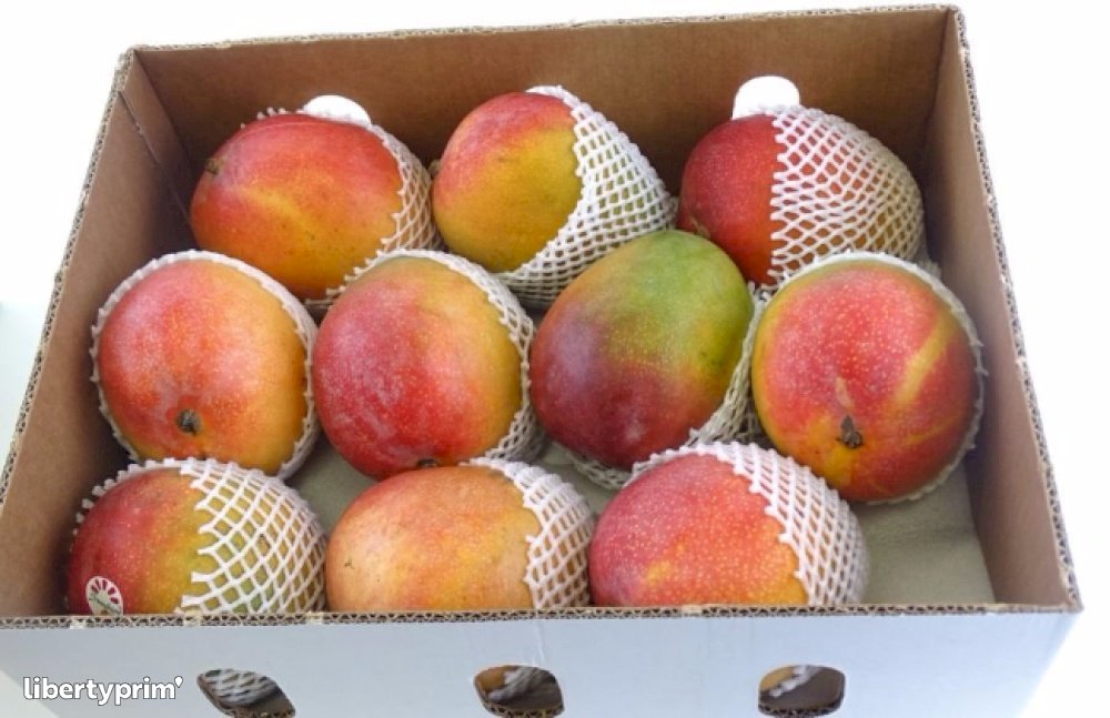 Mango Extra Burkina Faso Import & Export - Special Fruit | Libertyprim