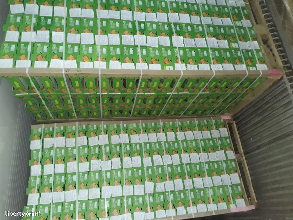 Mangue Kent Côte D'Ivoire Import & Export - ENTREPRISE SILUE SERVICES ...