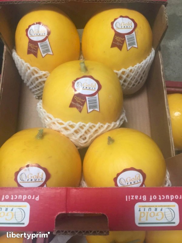 Melon Brésil Import & Export - AMS EUROPEAN | Libertyprim