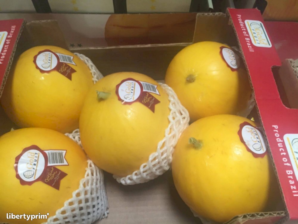 Melon Brésil Import & Export - AMS EUROPEAN | Libertyprim