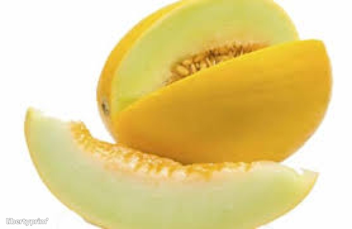 Melon Charentais Maroc Import & Export - MA.STAND | Libertyprim