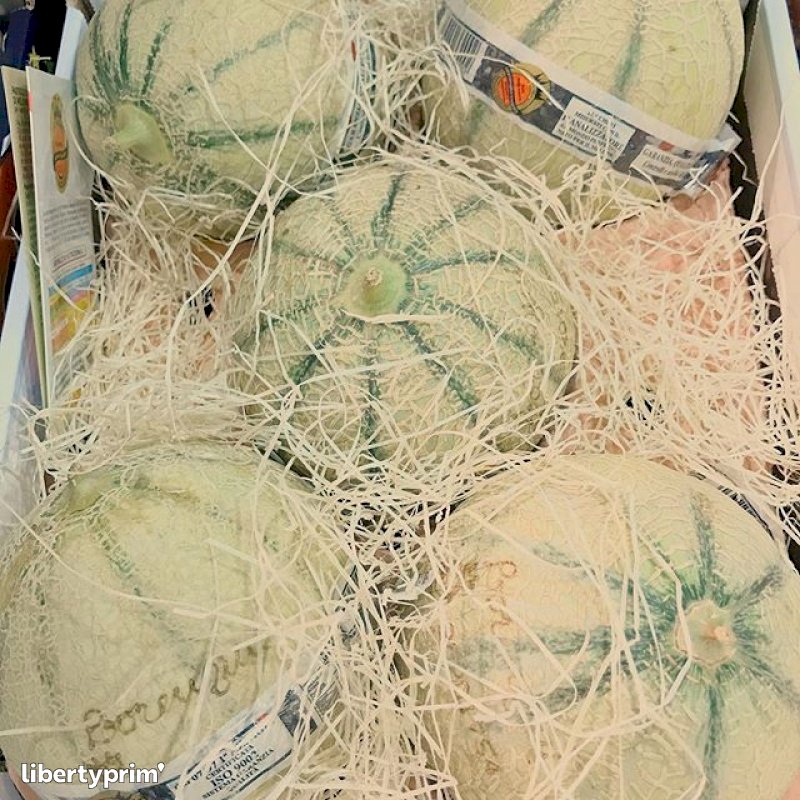 Melon Italie Grossiste - PRIMIZIEXPRESS | Libertyprim