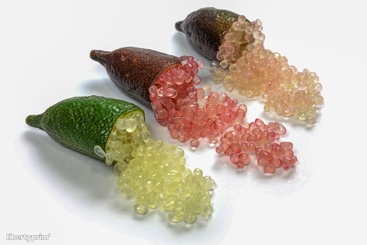 Mini Limon Categoría 1 Importación & Exportación - SASU GMAPB | Libertyprim