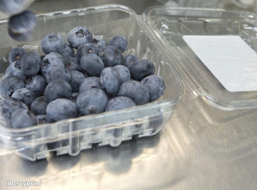 Myrtille France Producteur - FRUITS ROUGES DU PERIGORD | Libertyprim