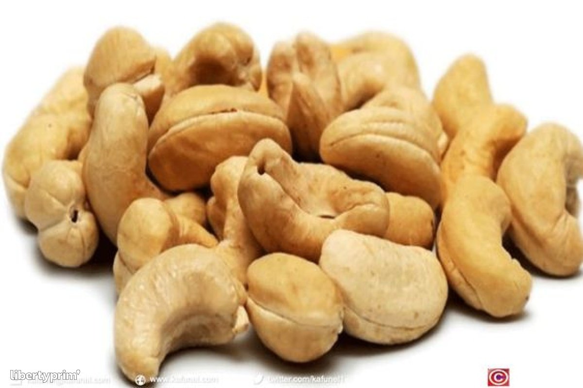 Cashew Nut Class 1 Ivory Coast Import & Export - AAFFARI GROUP TRADER | Libertyprim