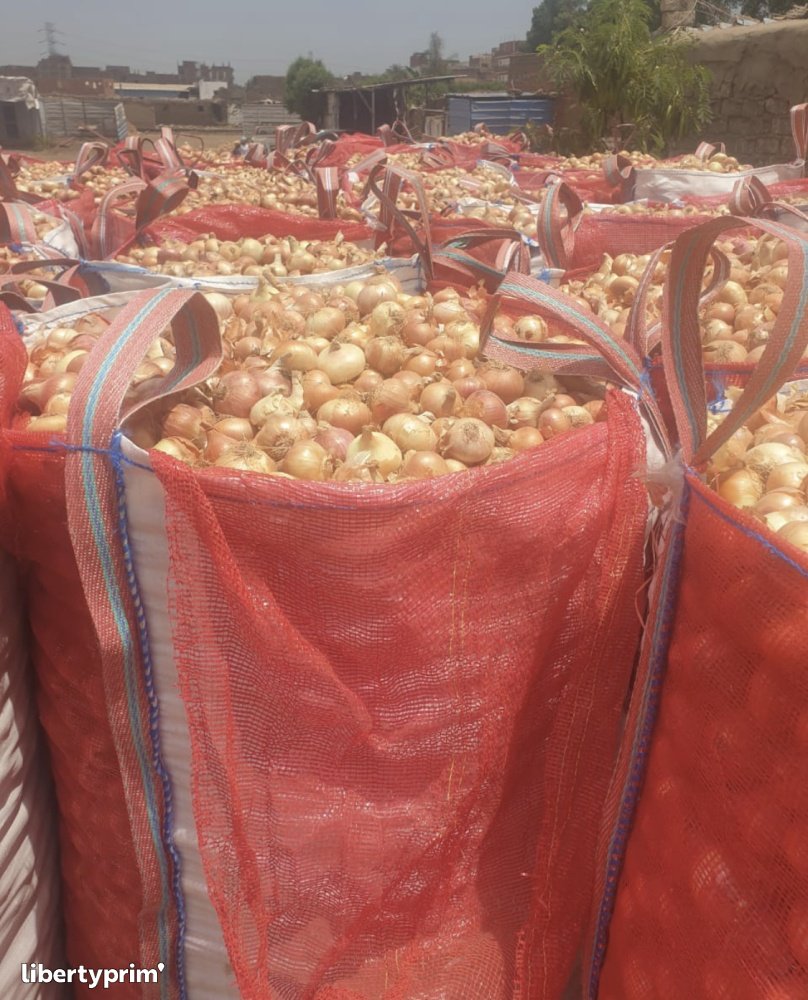 Oignon Jaune Catégorie 1 Egypte Import & Export - AfriGoodGrow | Libertyprim