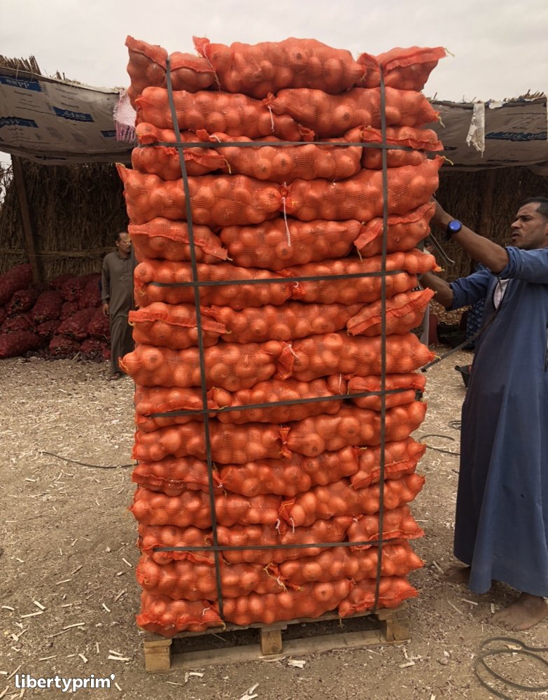 Oignon Jaune Catégorie 1 Egypte Import & Export - AfriGoodGrow | Libertyprim