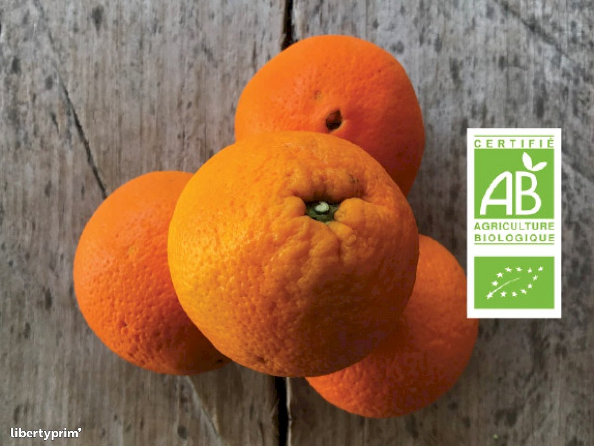 Orange France Shipper & Distributor - FORT & VERT | Libertyprim