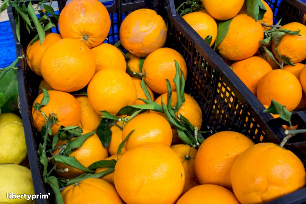 Orange France Producteur - THIERRY JANIN | Libertyprim