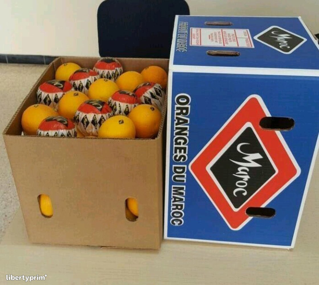 Orange Maroc-late Class 1 Morocco Import & Export - copac plant ...