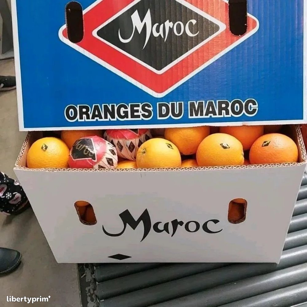Orange Class 1 Morocco Import & Export - MA.STAND | Libertyprim