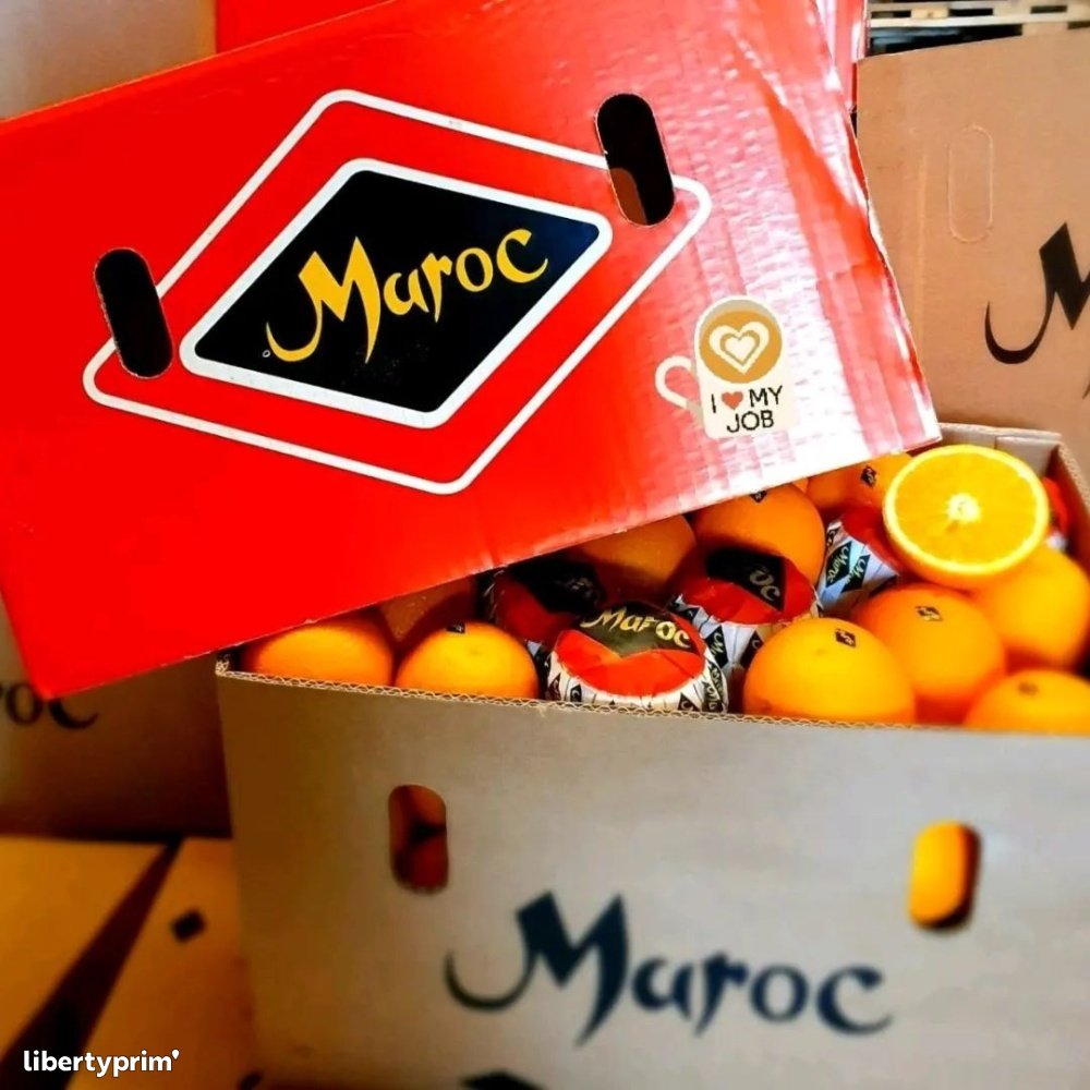 Orange Maroc-late Class 1 Morocco Import & Export - copac plant ...