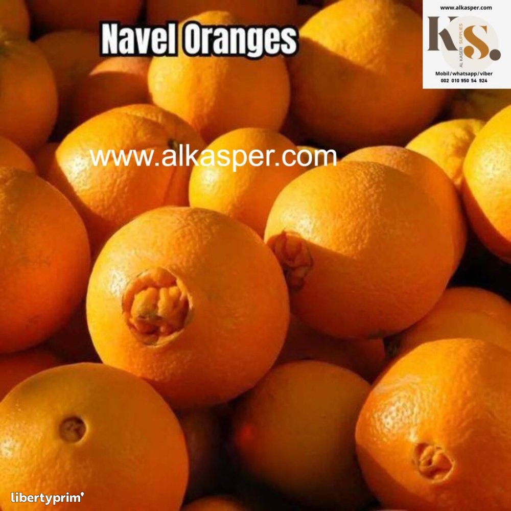 Orange Valencia Extra Egypt Import & Export - alkasper for supplies ...