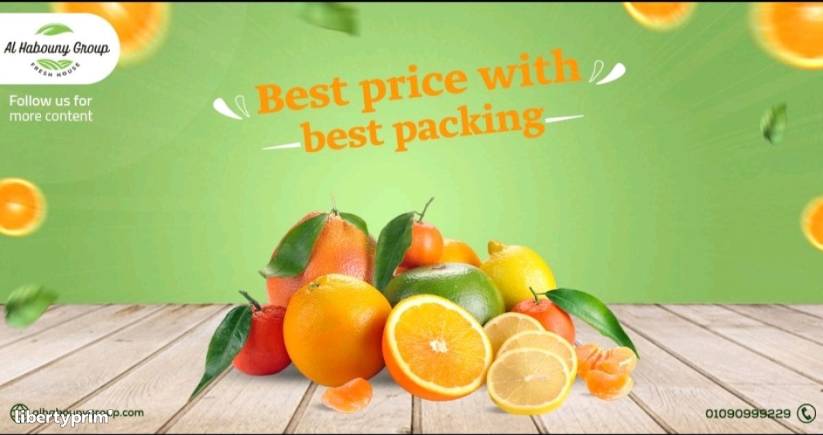 Orange Navel Class 1 Egypt Import & Export - Alhabouny Group | Libertyprim