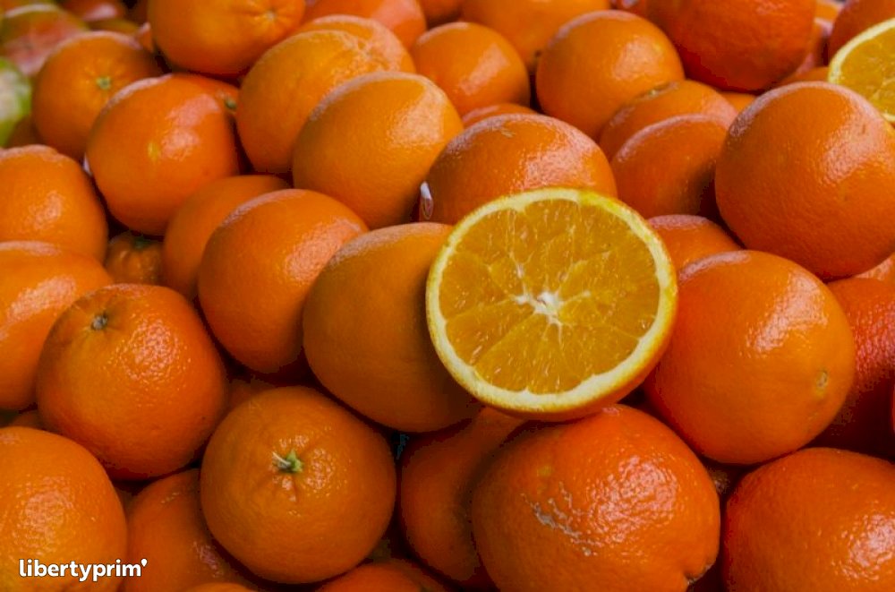 Orange Tunisie Grossiste - PRIMEURS DU SUD EST | Libertyprim