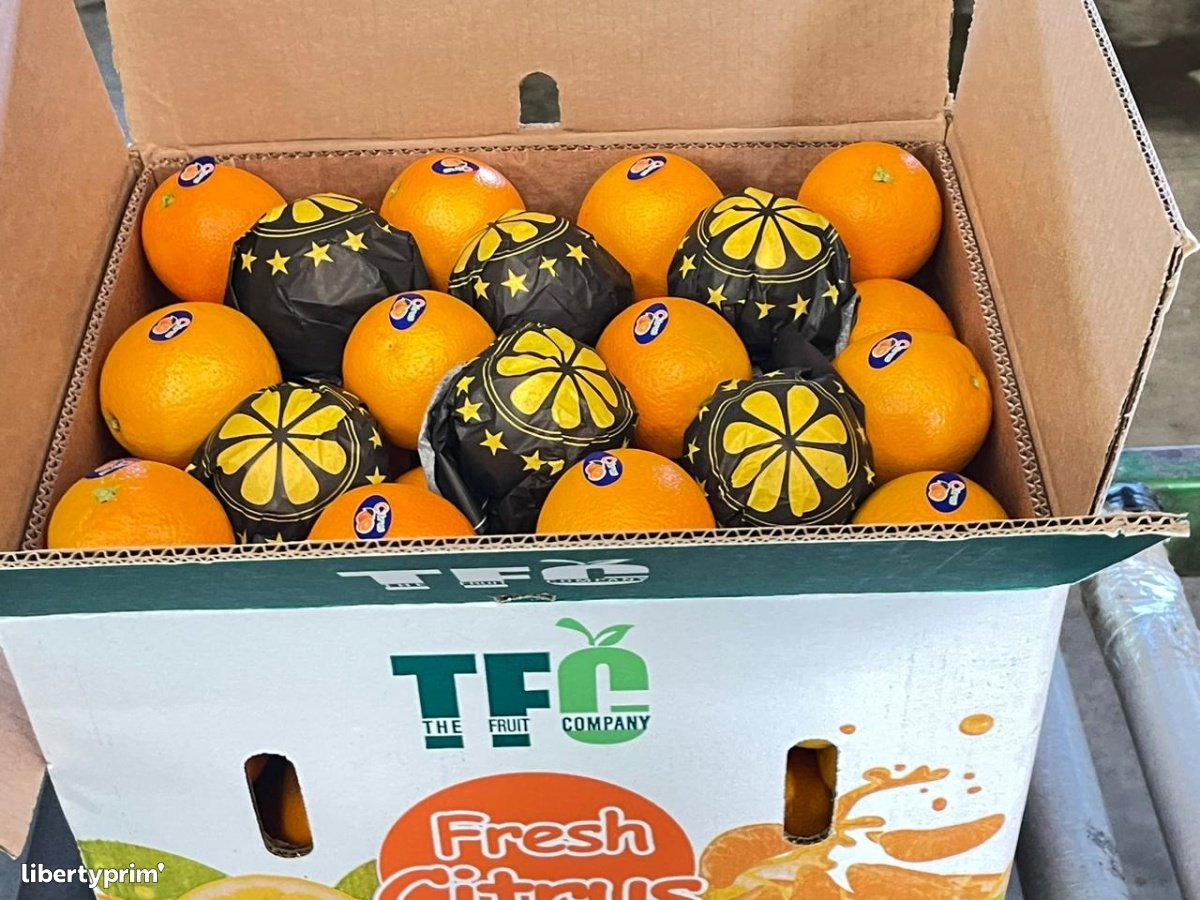Orange Valencia Catégorie 1 Egypte Import & Export - The Fruit Company ...
