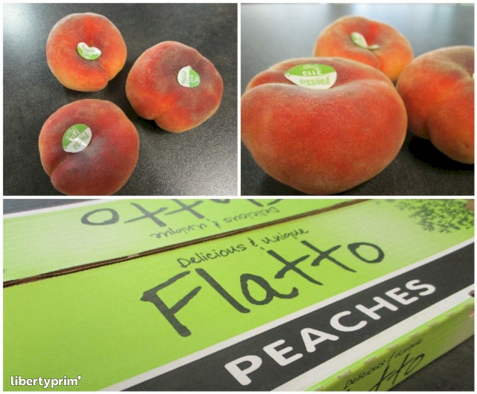 Peach Flat New Zealand Import & Export - AMS EUROPEAN | Libertyprim