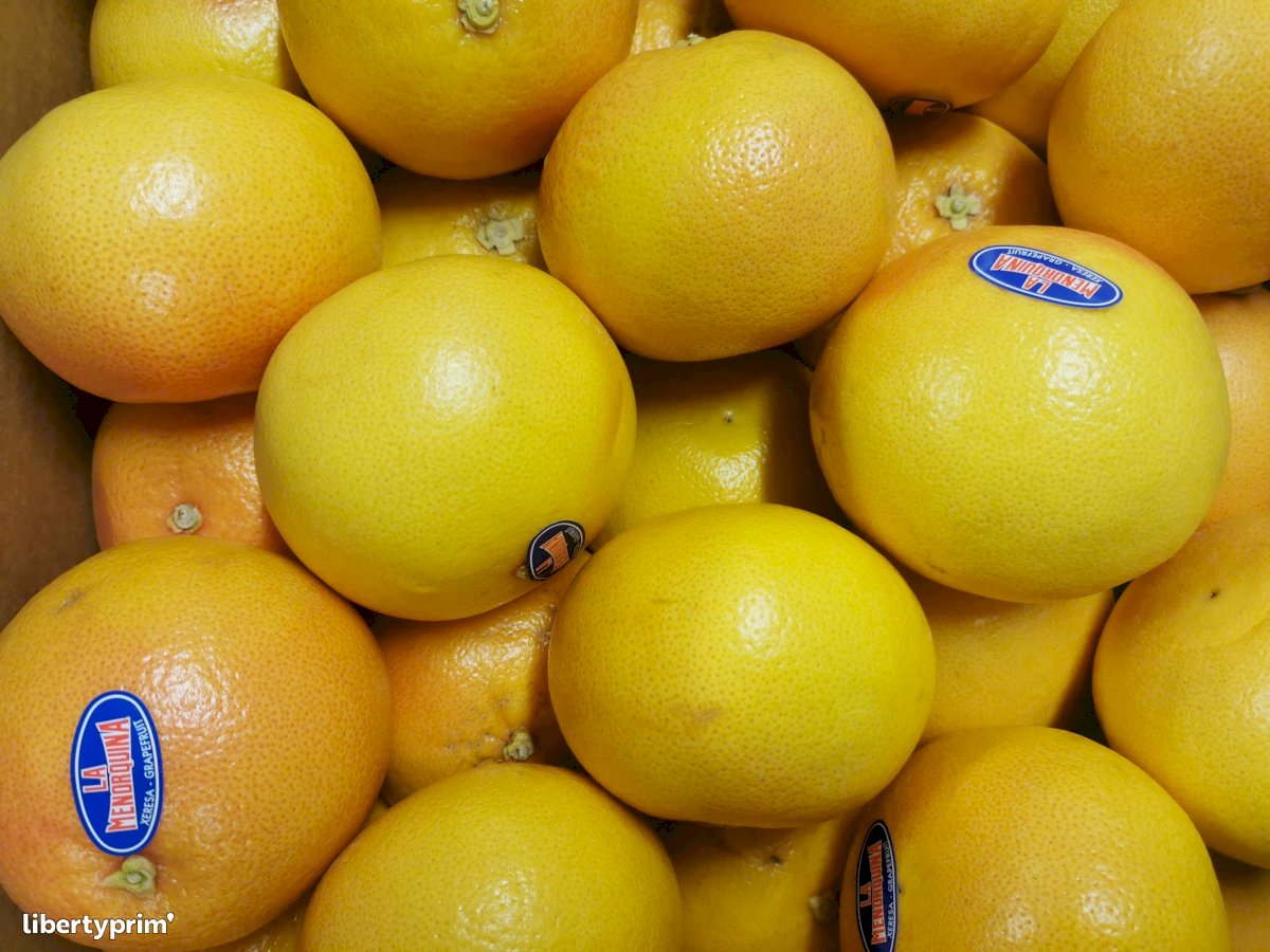 Grapefruit Star-Ruby Class 1 Spain Shipper & Distributor - GUILLEM ...