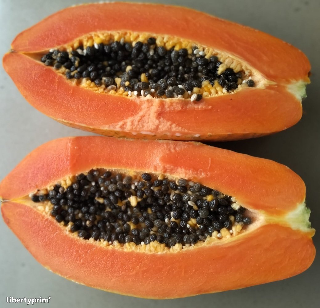 Papaye Formosa Espagne Producteur - Guadalhorce | Libertyprim