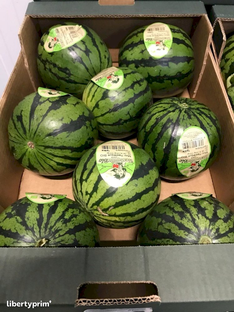 Watermelon Farm Girls Special 2 Xxx Telegraph
