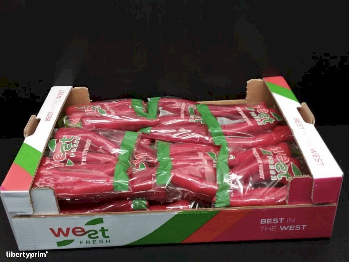 Pepper Red Class 1 Turkey Import & Export - Focus Fresh GmbH | Libertyprim Pepper Red Class 1 Turkey Import & Export - Focus Fresh GmbH | Libertyprim