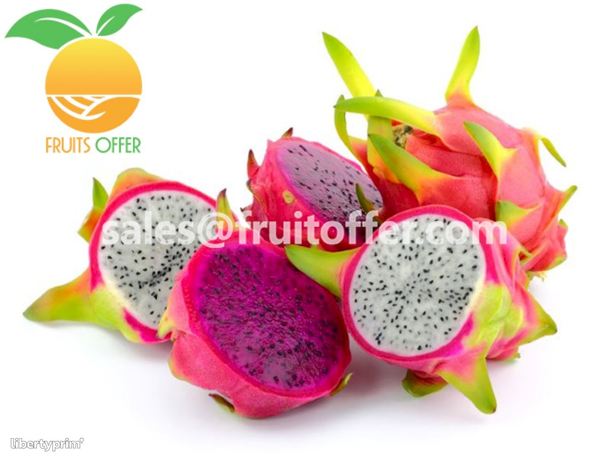 Pitahaya Red Class 1 Vietnam Import & Export - Dong Phuong Viet Nam ...