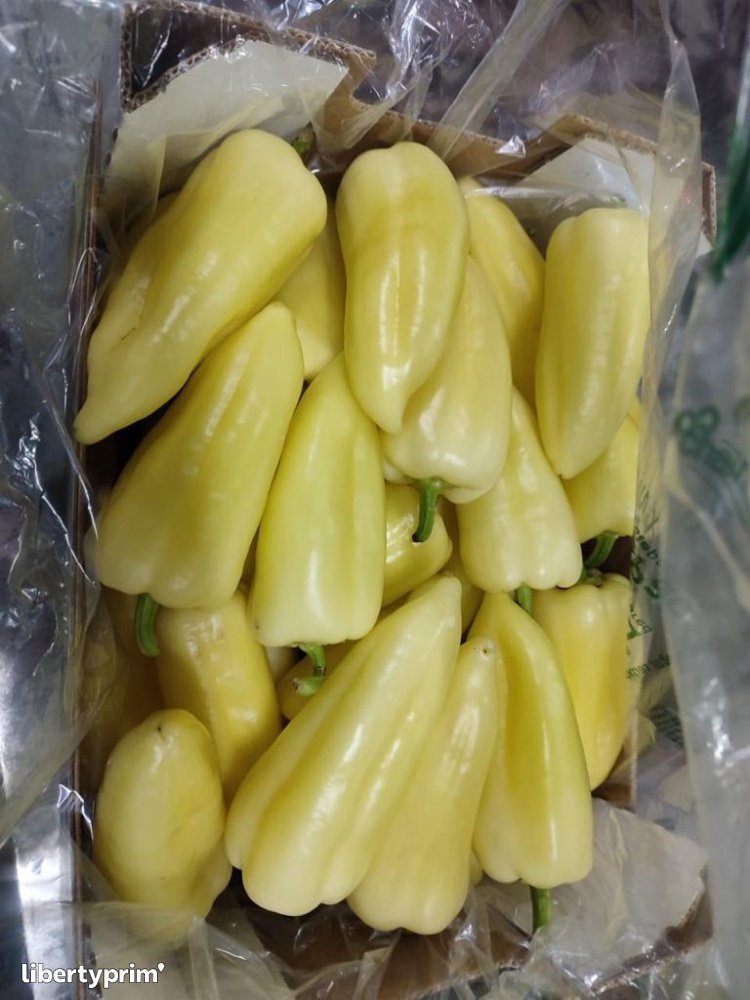 Pepper White Class 1 Morocco Import & Export - ENNEA TROPHI | Libertyprim Pepper White Class 1 Morocco Import & Export - ENNEA TROPHI | Libertyprim