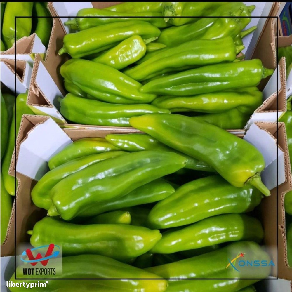 Pepper Class 1 Morocco Import & Export - World Of Trade Exports ...