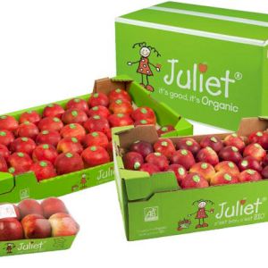 Pomme Joya France Import & Export - CARDELL | Libertyprim