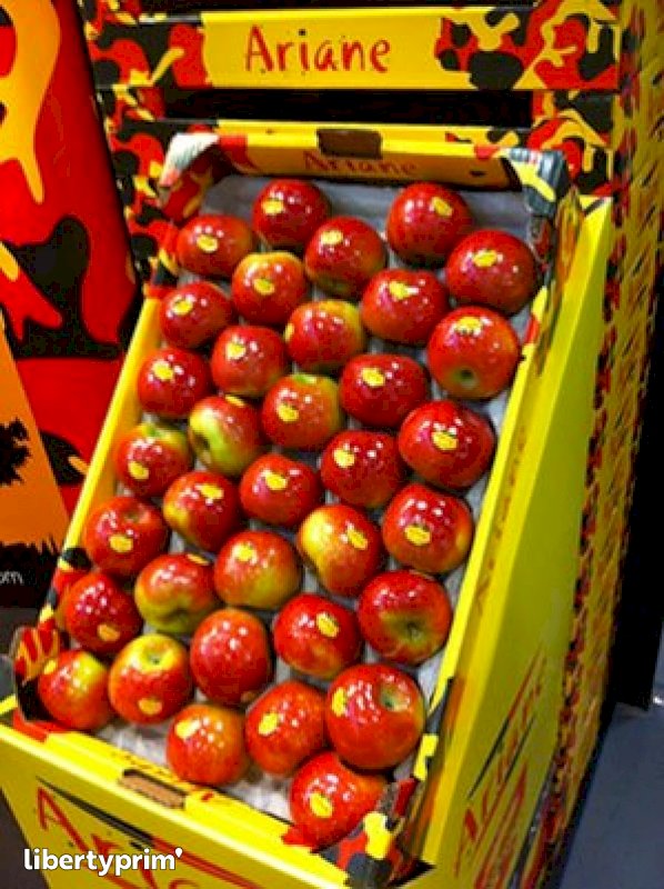 Apple Ariane France Wholesaler - Hebe Frukt & Grönsaker | Libertyprim