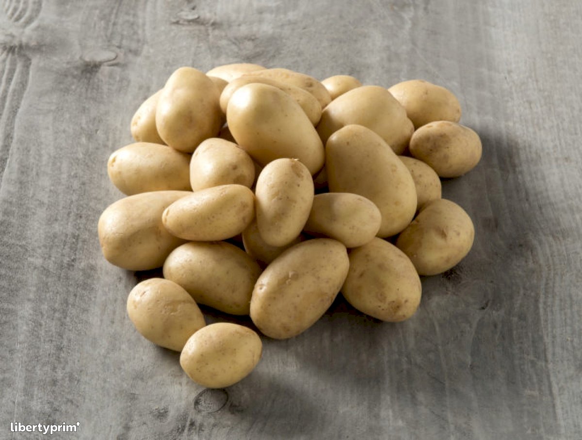 Potato Lady Christl Class 1 France Cooperative - COOP DE NOIRMOUTIER ...