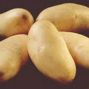 Potato Hermes Egypt Import & Export - AGROFOOD | Libertyprim