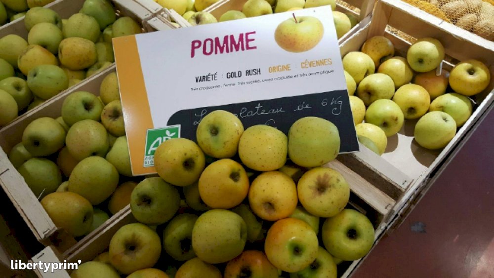 Pomme France Producteur - ORIGINE CEVENNES | Libertyprim