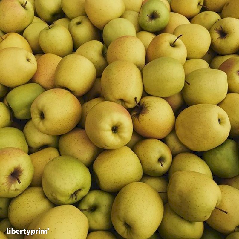 Apple Golden United States Wholesaler - PRIMIZIEXPRESS | Libertyprim