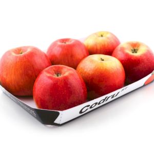 Pomme Jonagored Moldavie Producteur - CODRU-ST | Libertyprim