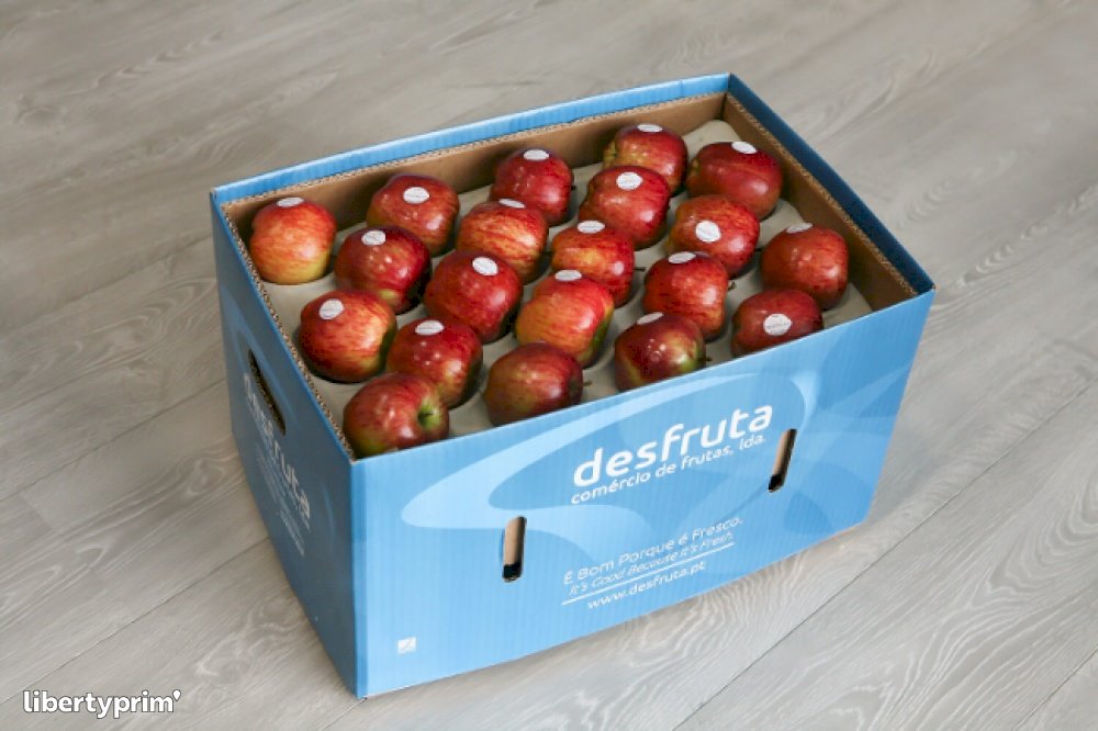 Pomme Catégorie 1 Portugal Grossiste - Desfruta - Comercio de Frutas ...