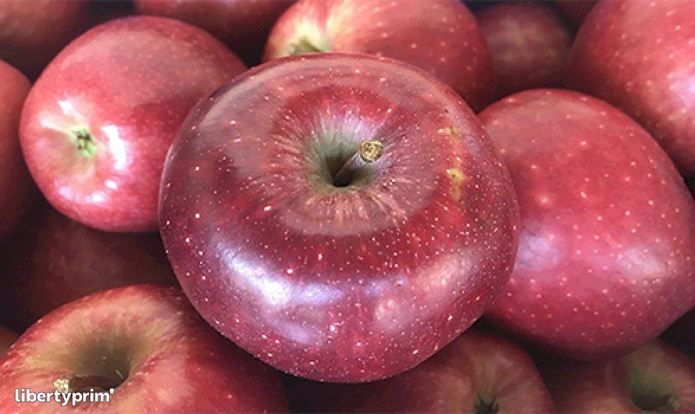 Apple Red Delicious France Producer - Les Vergers de la Garenne ...