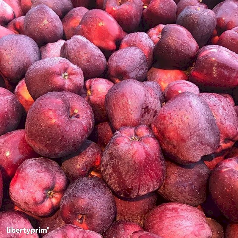 Pomme Red Delicious Italie Grossiste - PRIMIZIEXPRESS | Libertyprim