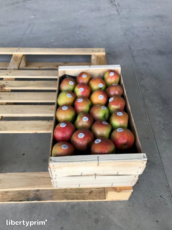 Pomme Reine Reinette France Producteur - Les Vergers de la Garenne ...