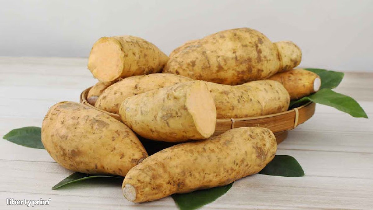 Potato Indonesia Import & Export - PT Avian Maju Indonesia | Libertyprim