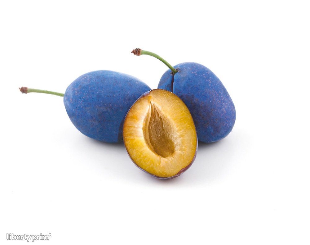 Prune Stanley Moldavie Producteur - CODRU-ST | Libertyprim