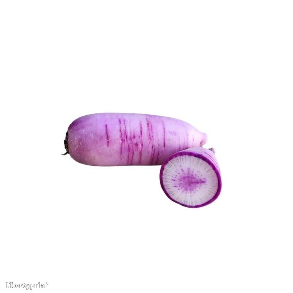 Radish Blue Meat Class 1 France Producer - La ferme d'Arnaud | Libertyprim