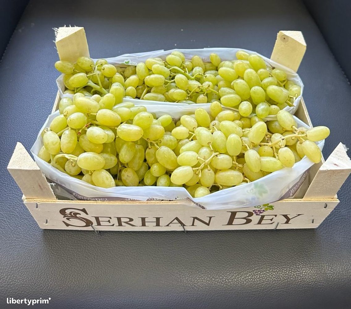 Grapes Sultanine Class 1 Turkey Import & Export - Erturk Tarim ...