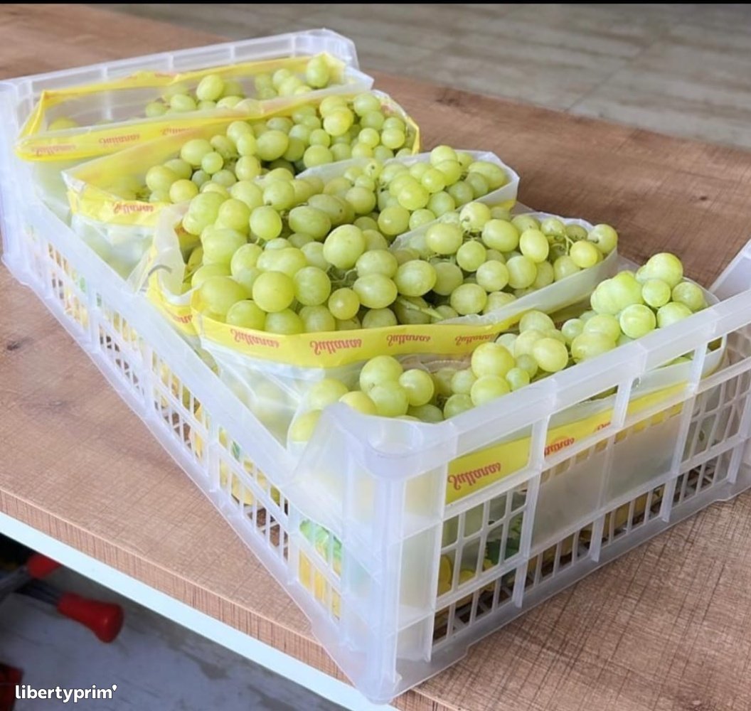 Grapes Sultanine Class 1 Turkey Import & Export - Erturk Tarim ...