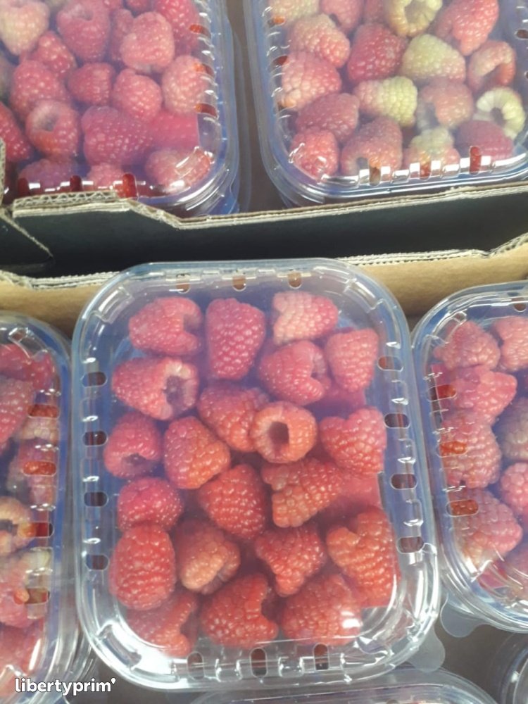 Framboise Catégorie 1 Maroc Négociant & Courtier - ste harvest house ...