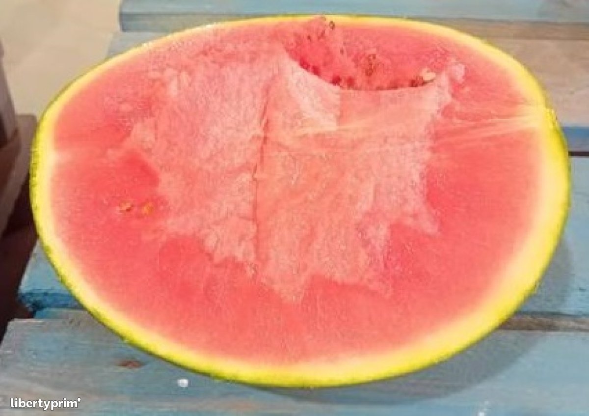 Watermelon Seedless Class 1 Spain Shipper & Distributor - APAFRUIT ...