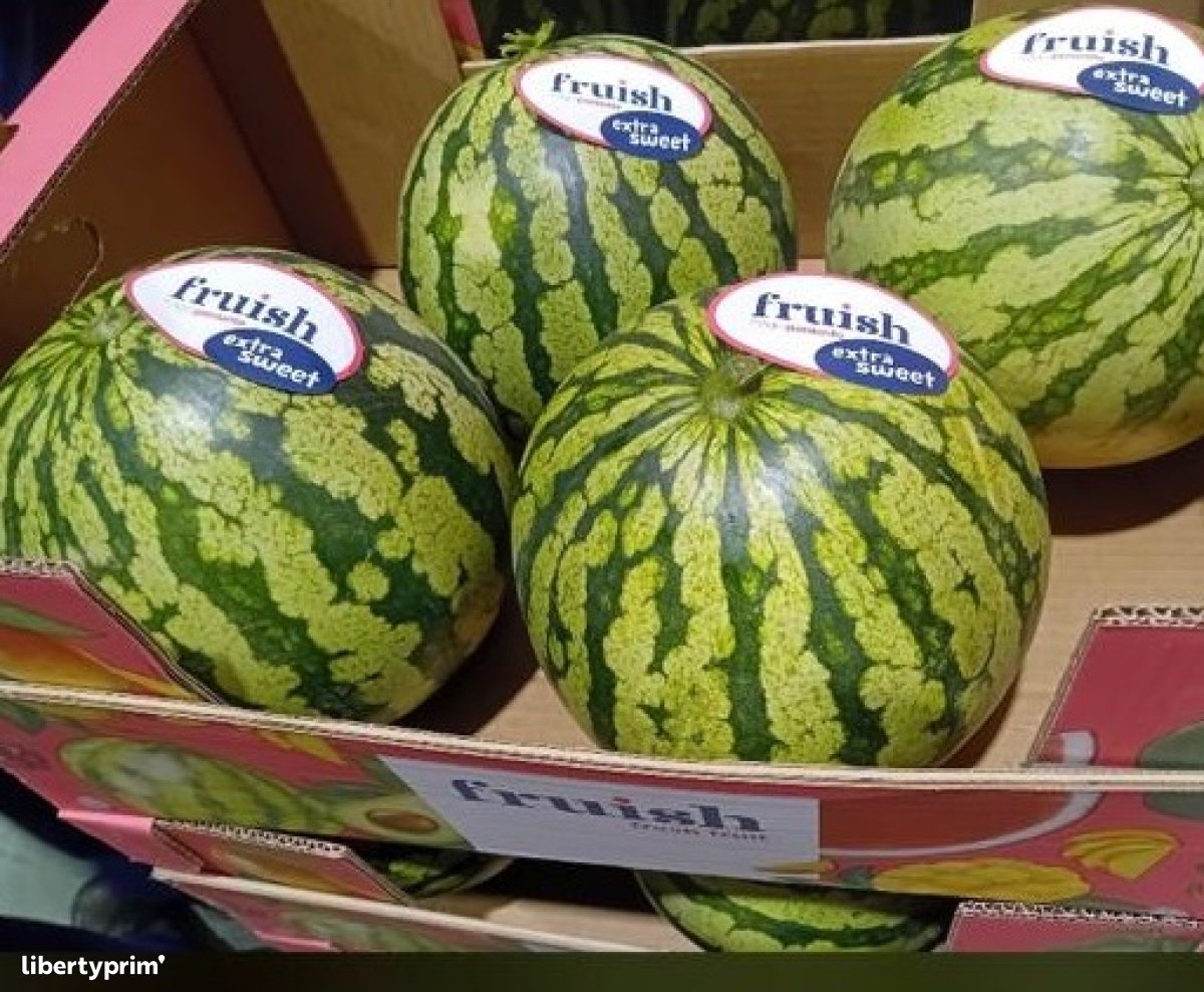 Watermelon Seedless Class 1 Spain Shipper & Distributor - APAFRUIT ...
