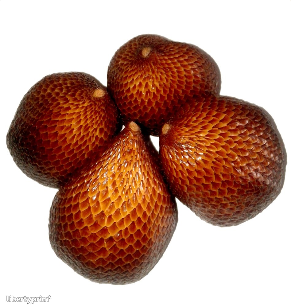 Snake Fruit Class 1 Indonesia Import & Export - PT Avian Maju Indonesia ...
